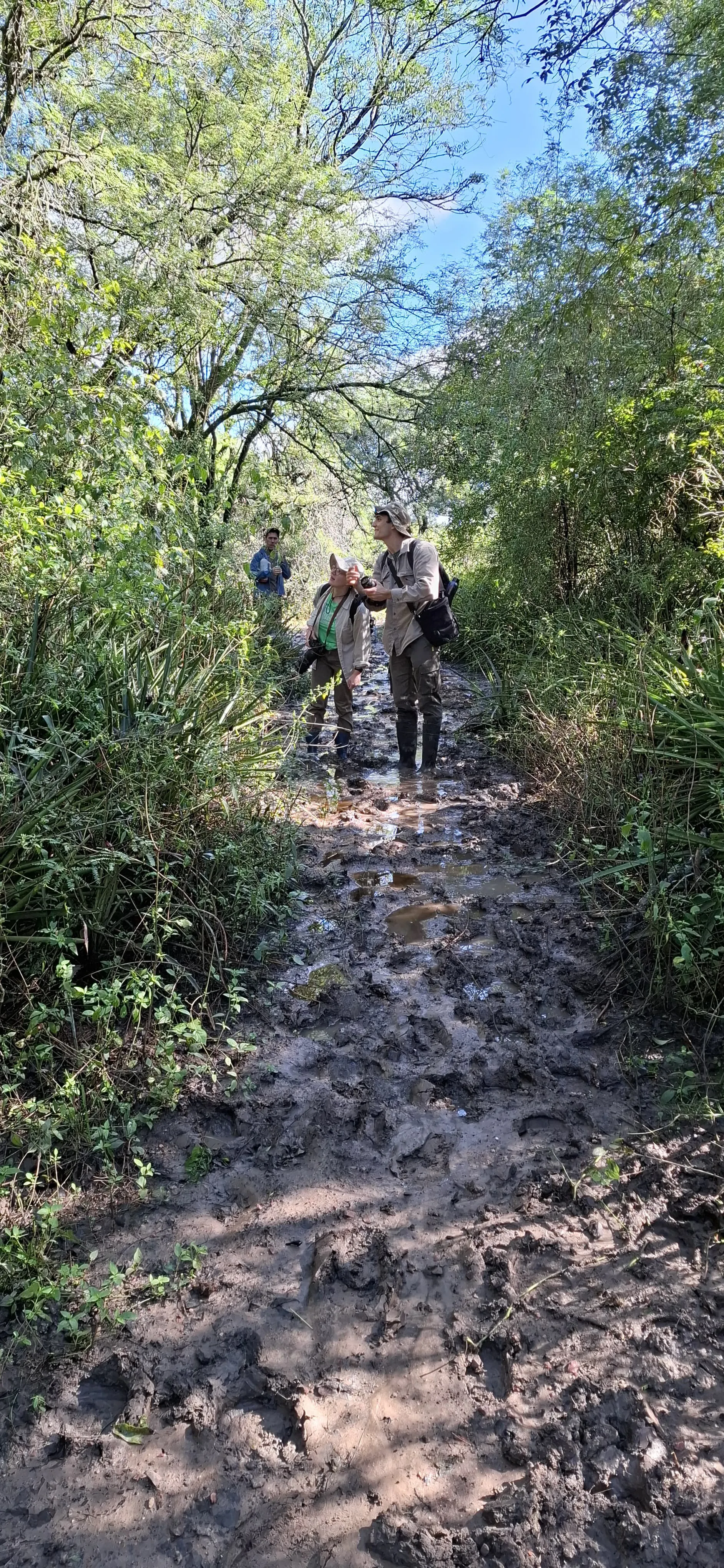 Vecinos y organizaciones exigen el acceso al Parque Caraguatá