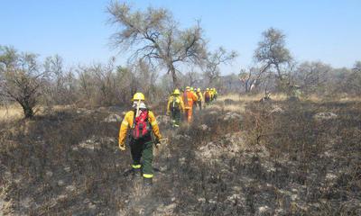 Incendio en el Parque Nacional Chaco afecta a cerca de 3 mil hectáreas